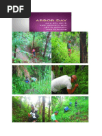 Iped Action Plan | PDF | Classroom | Teachers