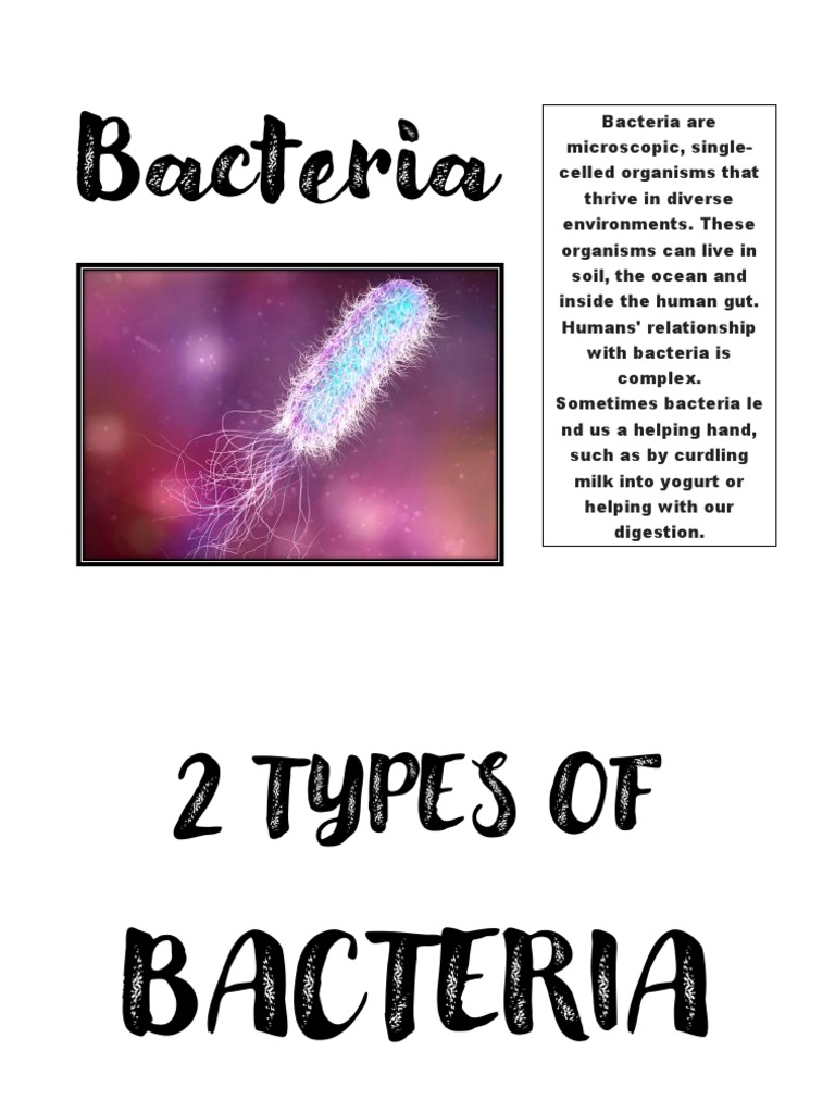 Mapeh Scrapbook | PDF | Parasitism | Bacteria