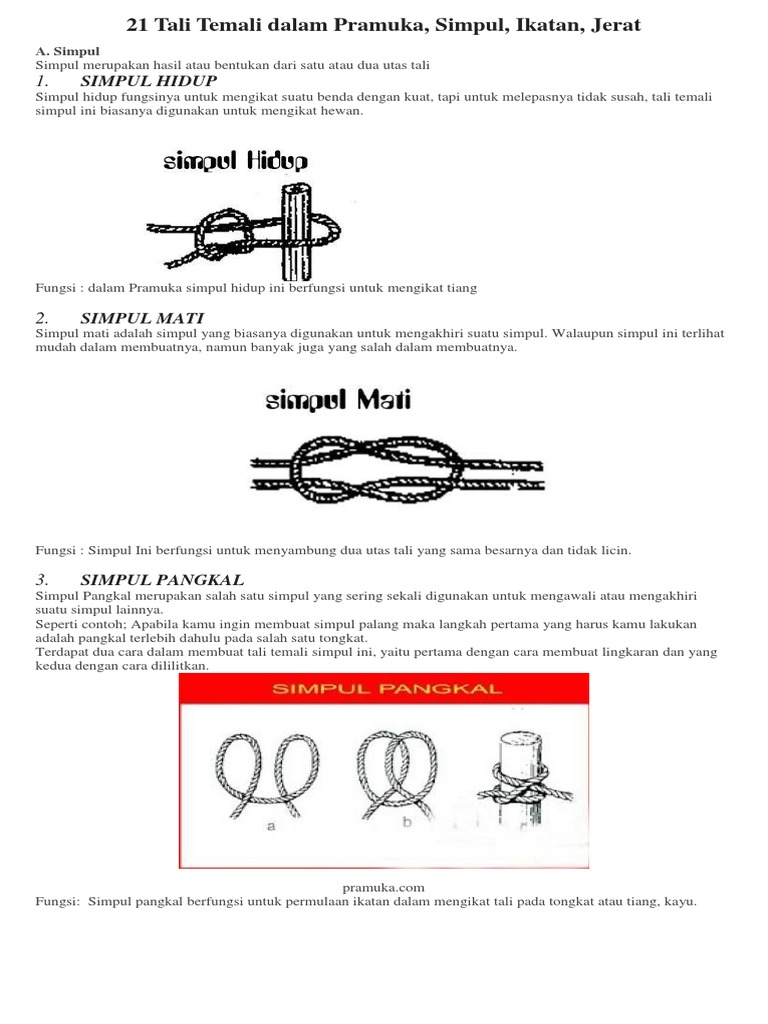 21 Tali Temali Dalam Pramuka, Simpul, Ikatan, Jerat | PDF | Griya & Taman