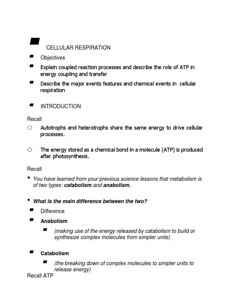 Cell Respiration Notes | PDF | Cellular Respiration | Adenosine ...
