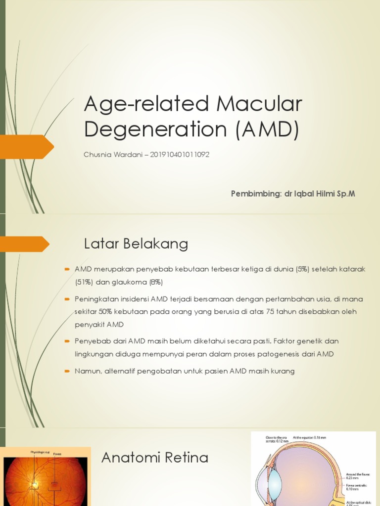 Age-Related Macular Degeneration (AMD) | PDF
