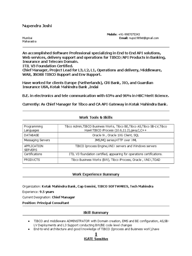 Resume - 2019 | Download Free PDF | Application Software | Application Programming Interface