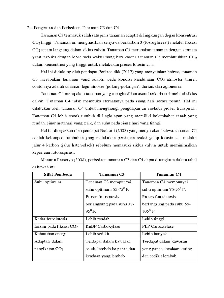 2.4 Pengertian Dan Perbedaan Tanaman c3 Dan c4 | PDF