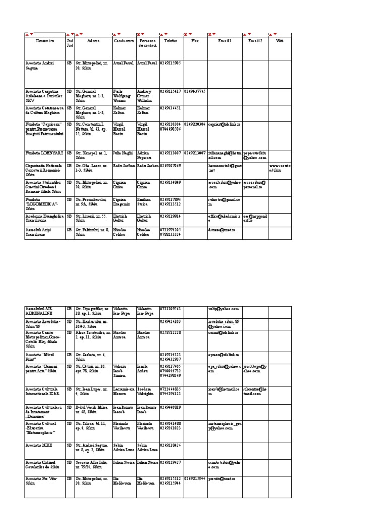Baza de Date ONG Jud Sibiu | PDF