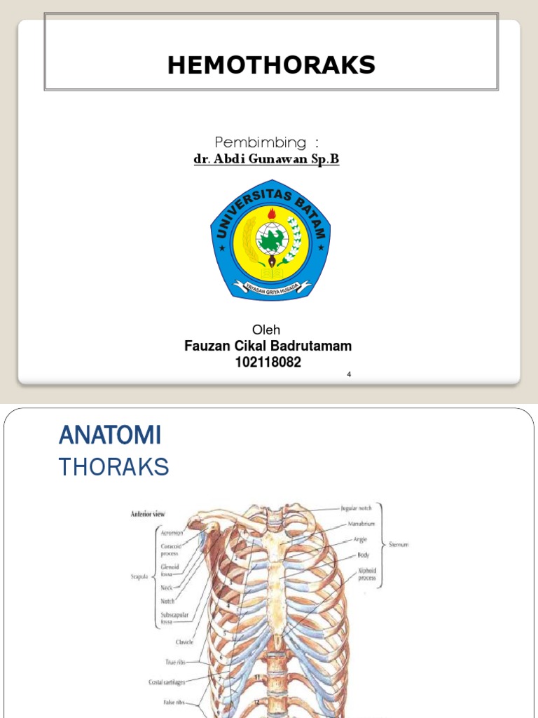 Hemothoraks | PDF