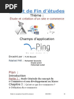 Pfe (E-COMMERCE AU MAROC) 555 | PDF