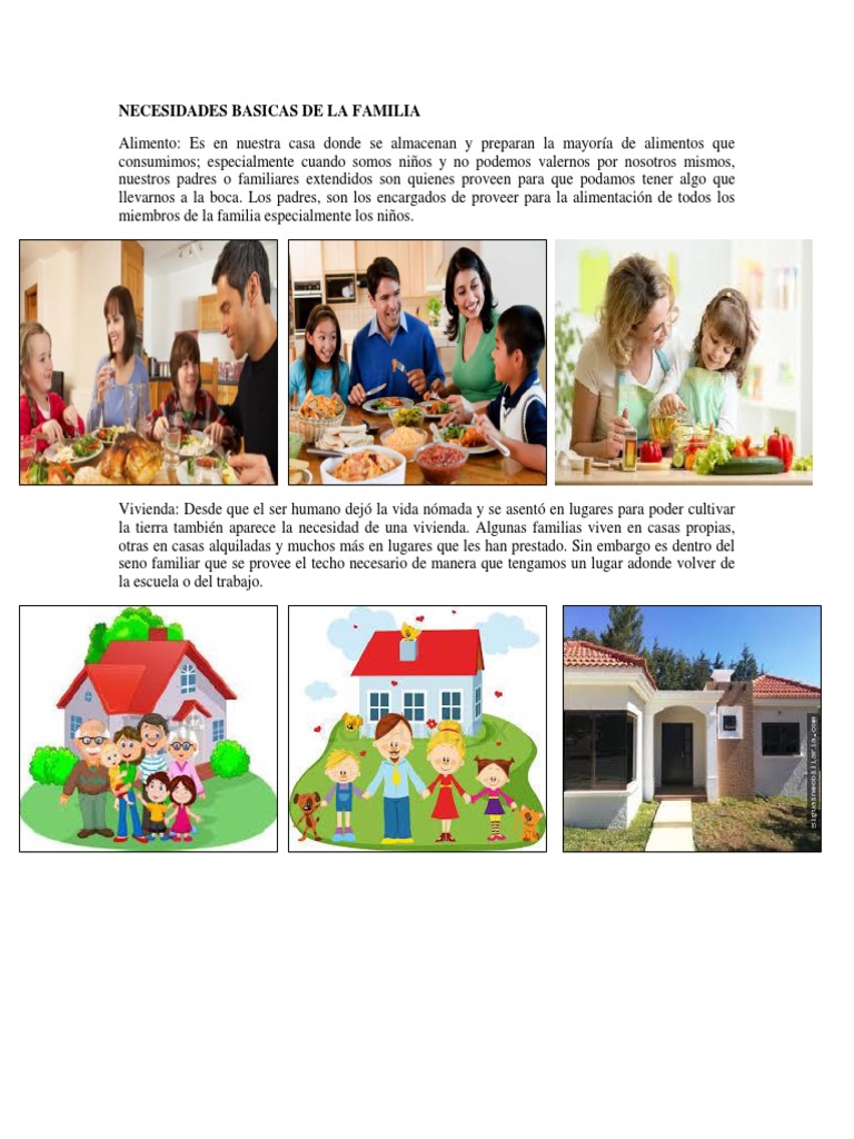 Necesidades Basicas de La Familia | PDF