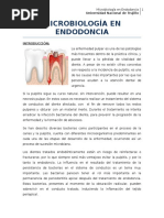 Clasificacion de Vertucci | PDF | Diente | Anatomia dental