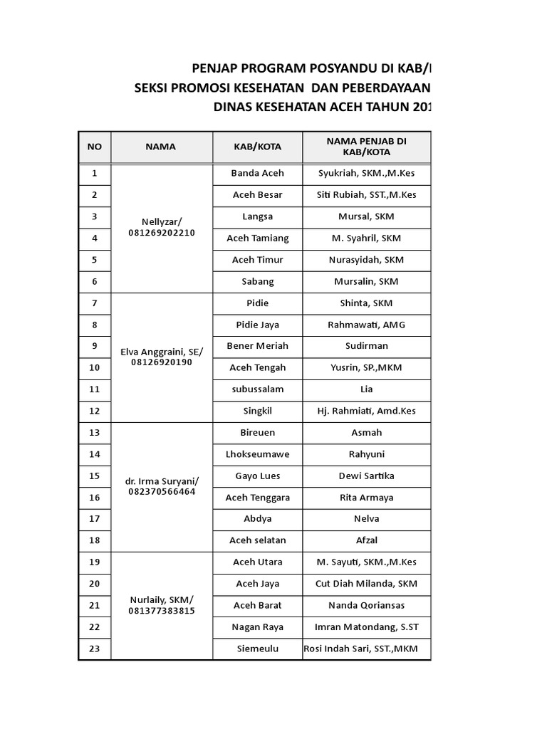 FORM PENDATAAN POSYANDU - Kabkota | PDF