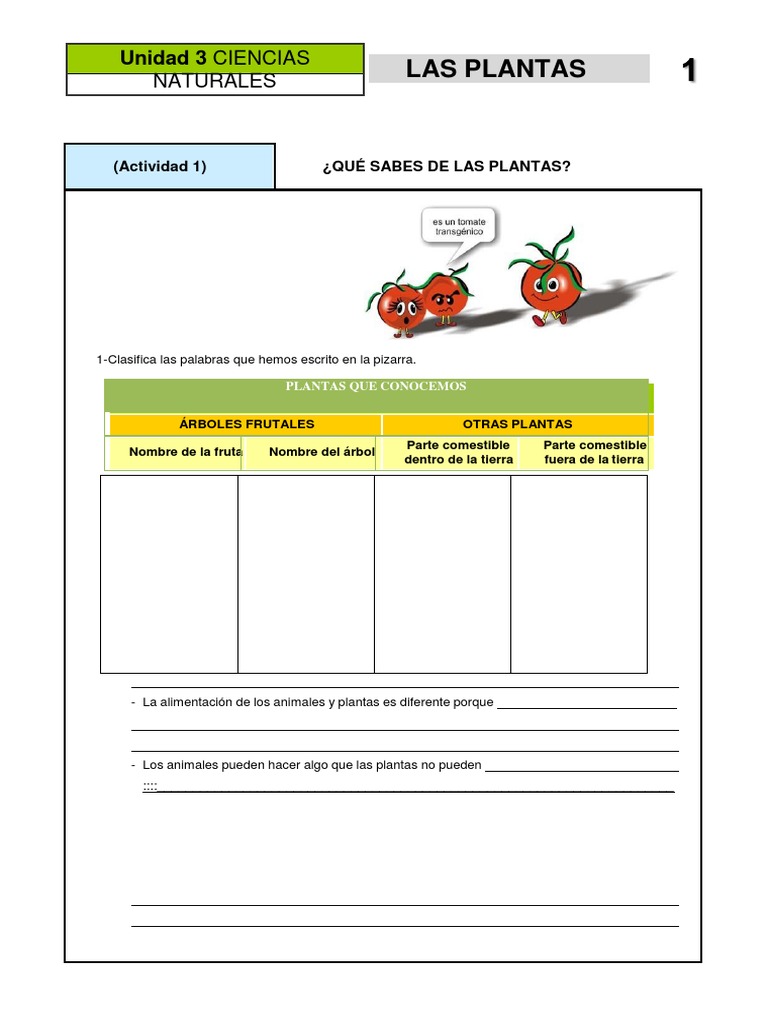 Actividades sobre Plantas | PDF | Plantas | Alimentos