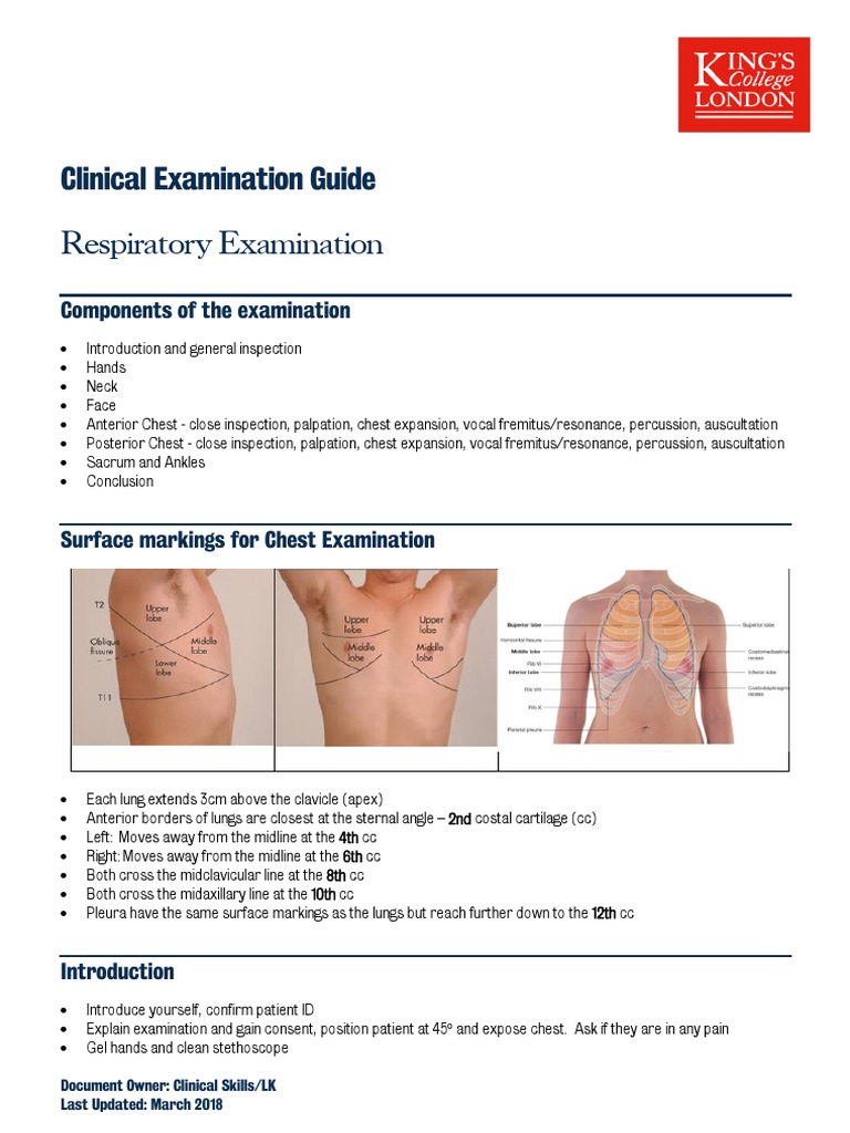Respiratory Examination Guide | PDF | Thorax | Lung