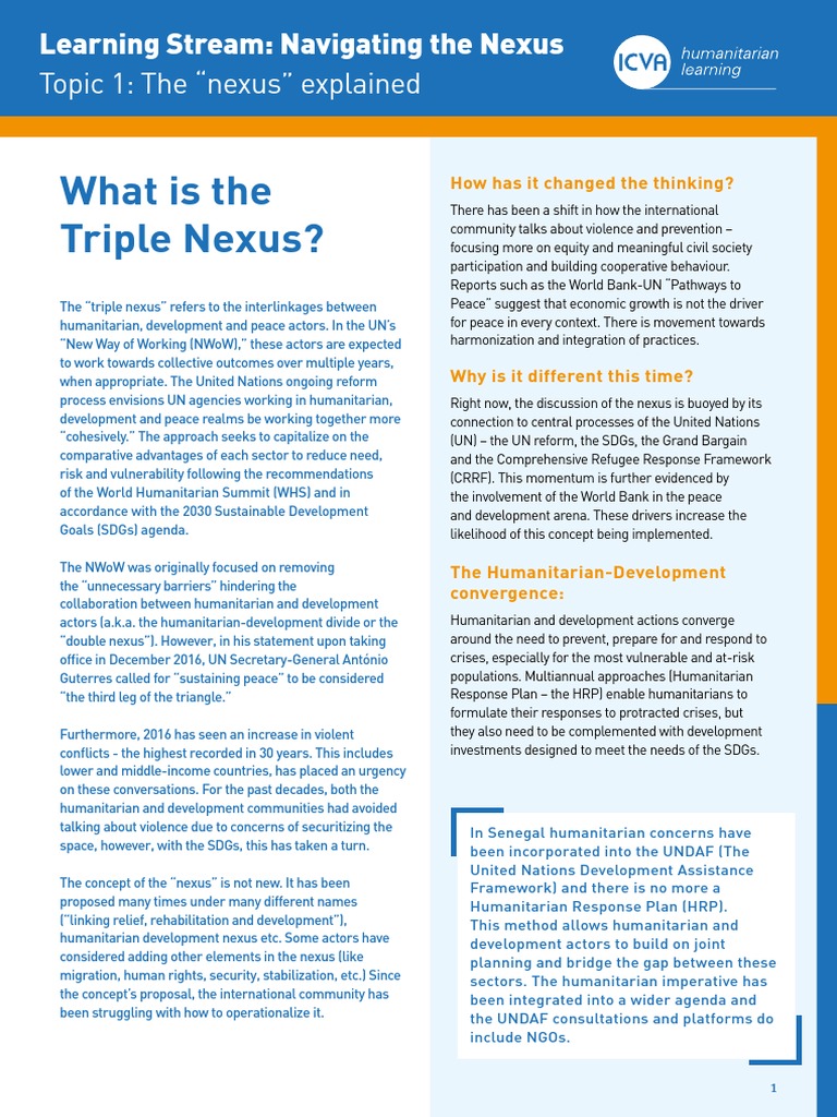 Understanding the Triple Nexus | PDF | Humanitarianism | United Nations