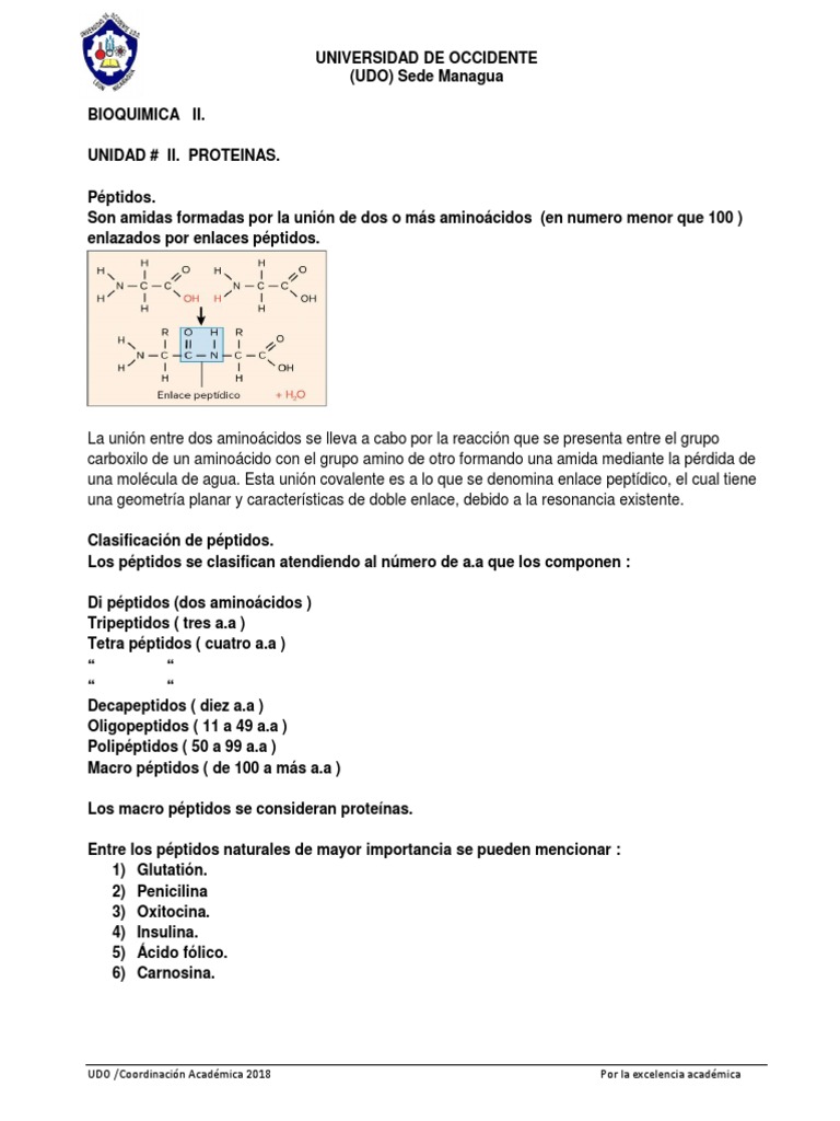 Clase # 2 de Bioquimica Ii. Unidad I Proteinas. | PDF | Péptido ...