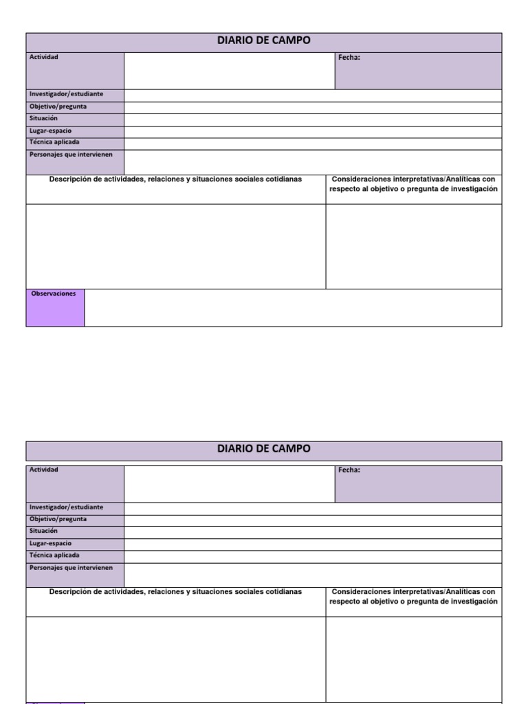 Formato Diario de Campo | PDF