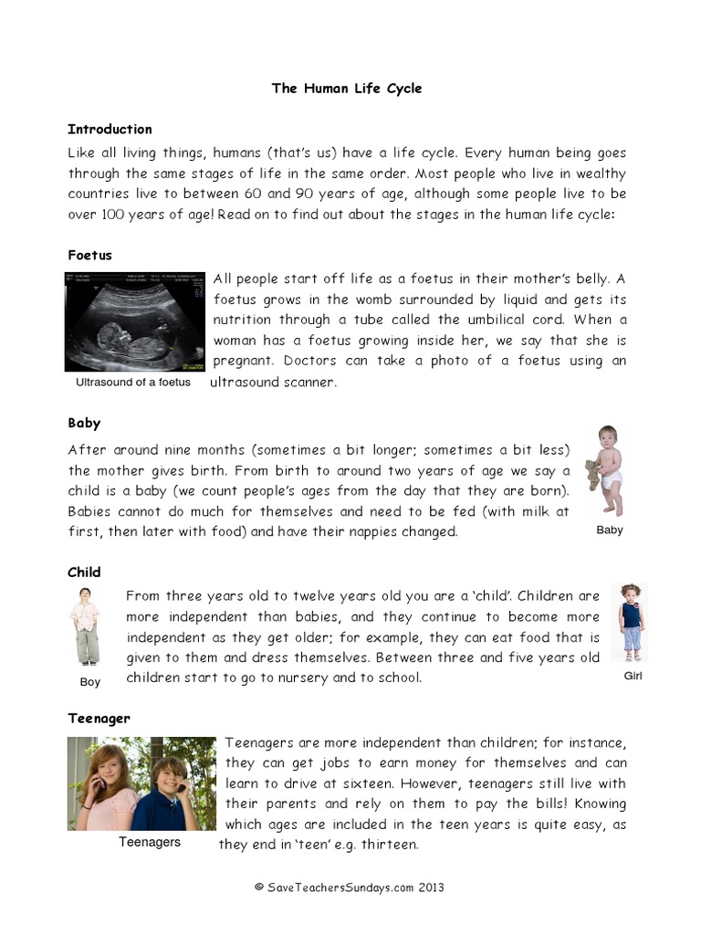 Human Life Cycle Stages For Kids