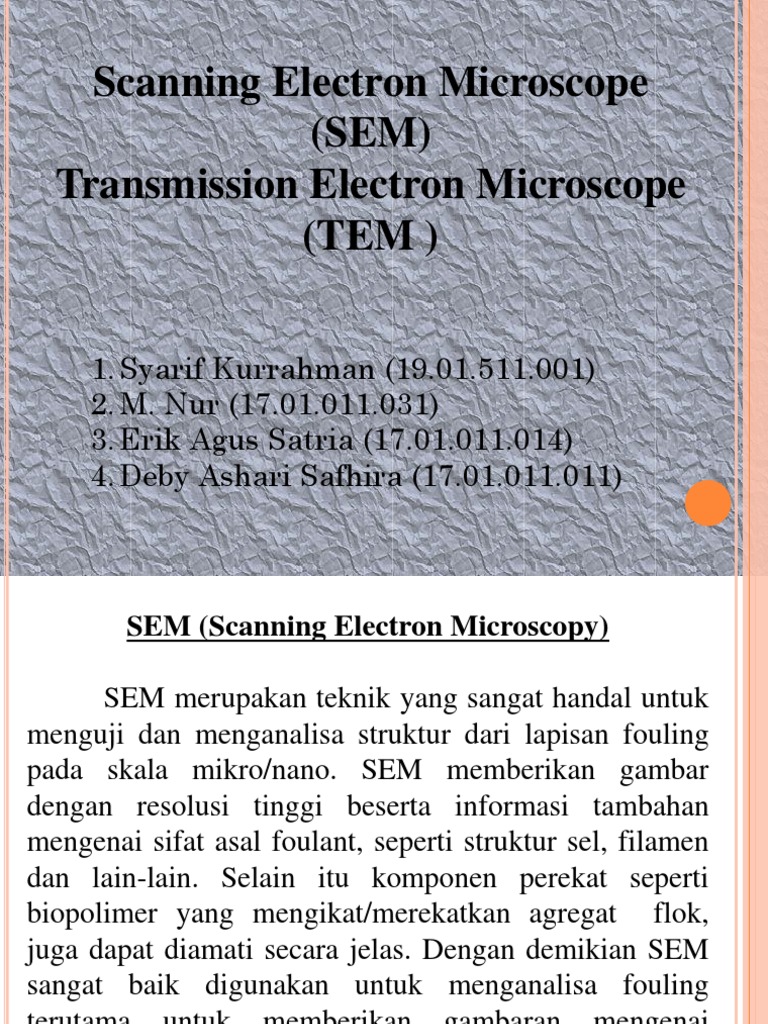 Kel.5 SEM Dan TEM | PDF