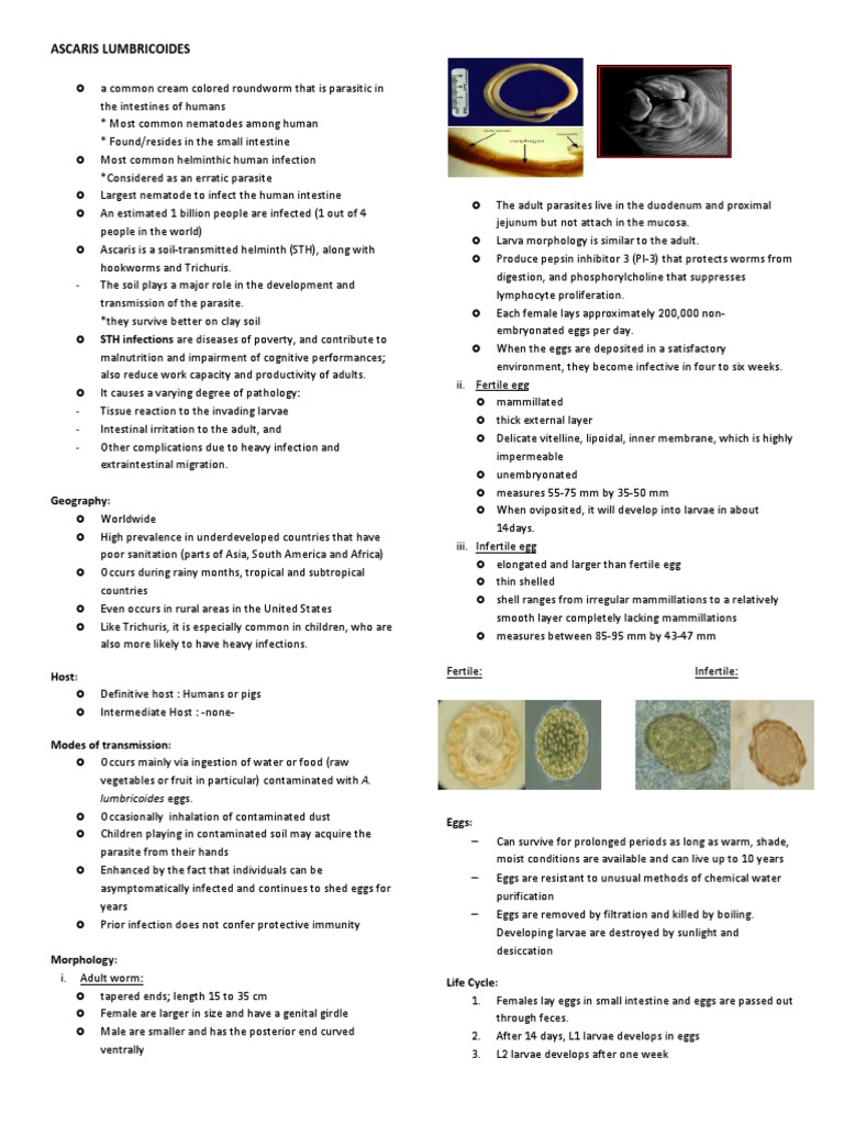 STH's Unholy Trinity | PDF | Diseases And Disorders | Medicine