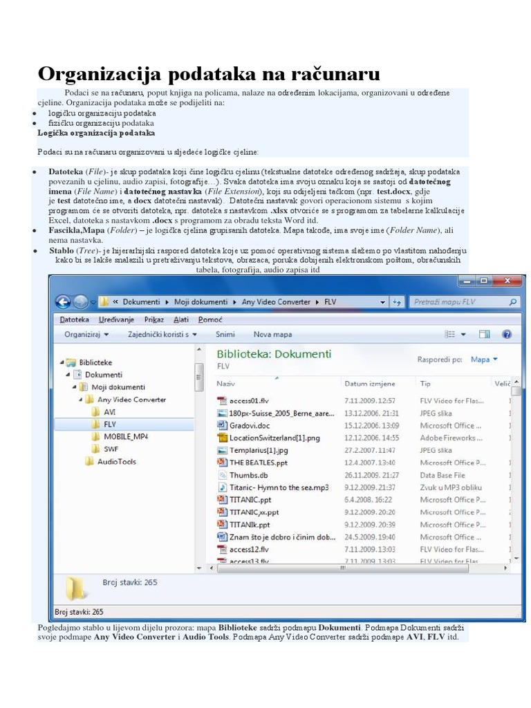 Organizacija Podataka Na Računaru | PDF
