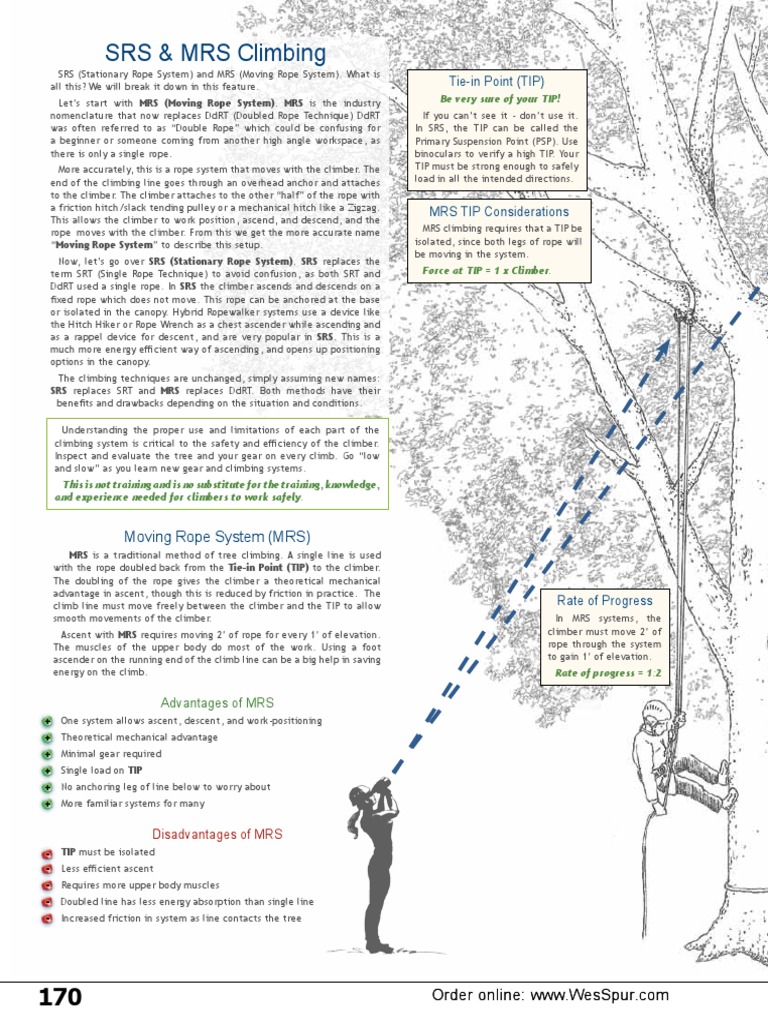 Tree Ascending Knowbase-Srs | PDF | Rock Climbing | Mountaineering
