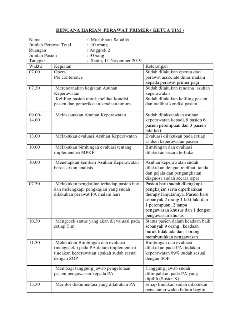 Rencana Harian Ketua Tim | PDF