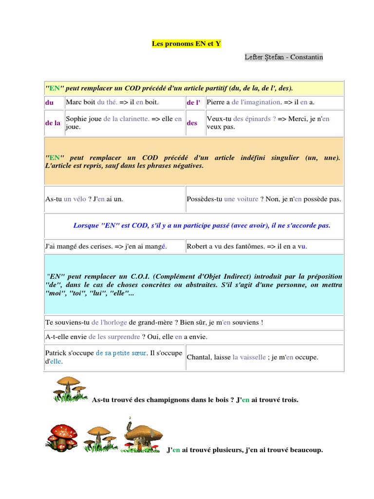 Pronoms "en" et "y" en français | PDF | Complément d'objet | Pronom