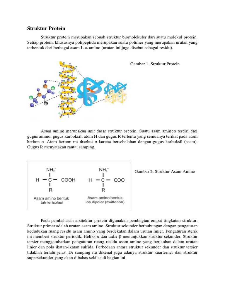 Struktur Protein | PDF