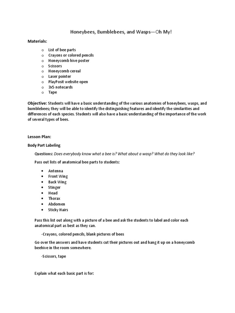Bee Lesson Plan | PDF | Bees | Honey Bee
