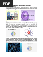 Vestimenta de La Cultura Xinca | PDF | Ropa | Falda