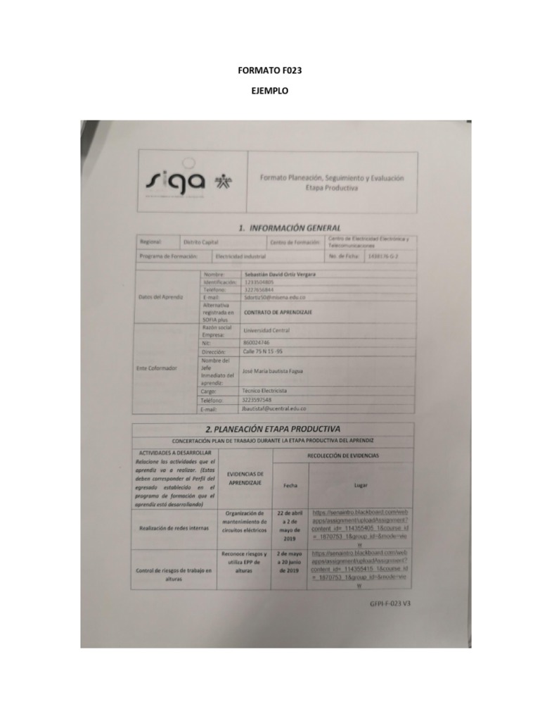 Ejemplo para Llenar El R1 PDF | PDF