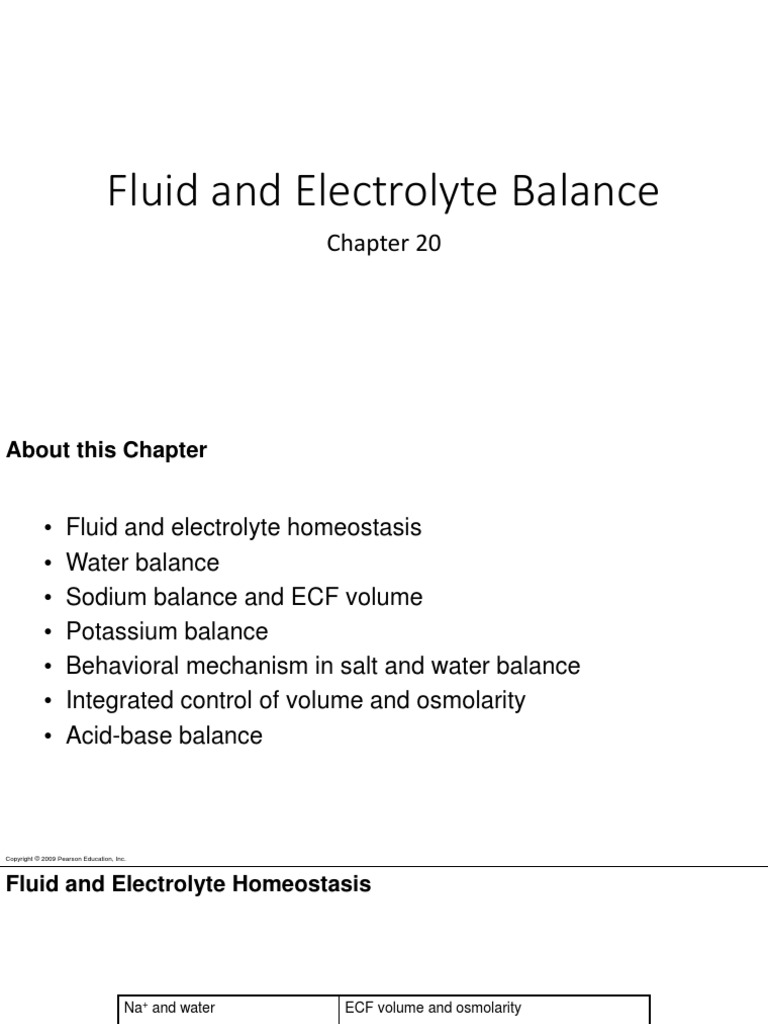 Chapter 20 - 1 Fluid and Electrolyte Balance | PDF | Homeostasis ...