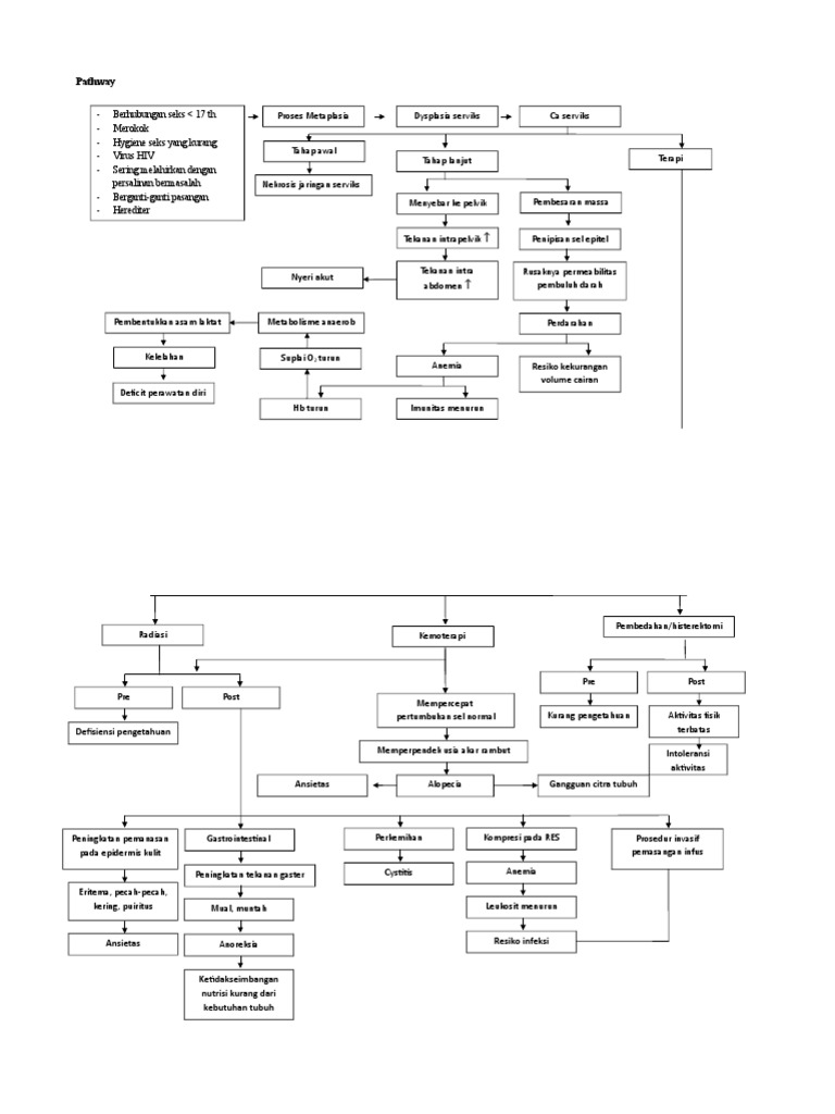 Pathway Ca Serviks | PDF