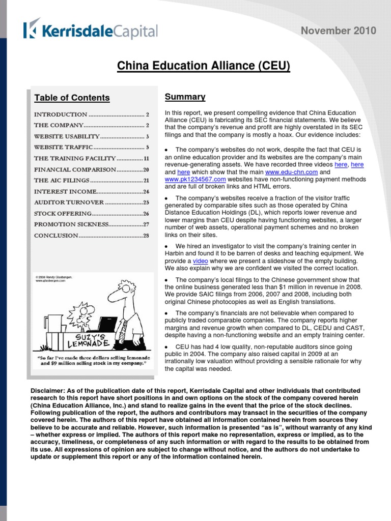 CEU Report November 2010 | PDF | Websites | Revenue
