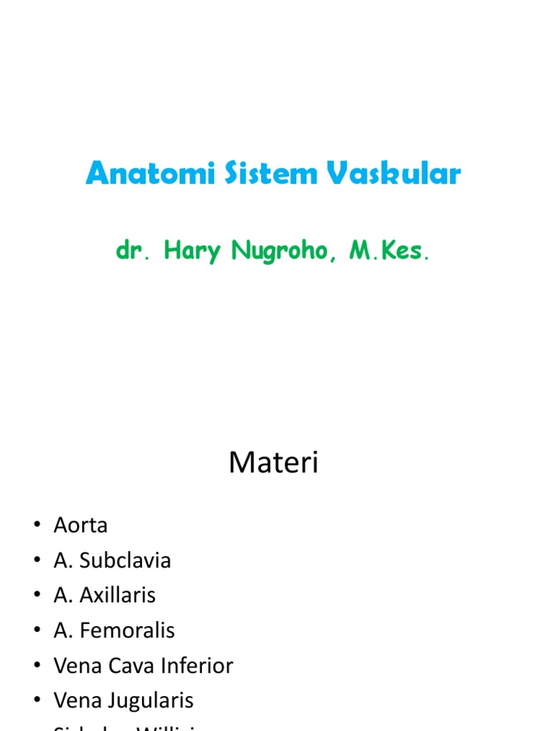 Anatomi Sistem Vaskular | PDF
