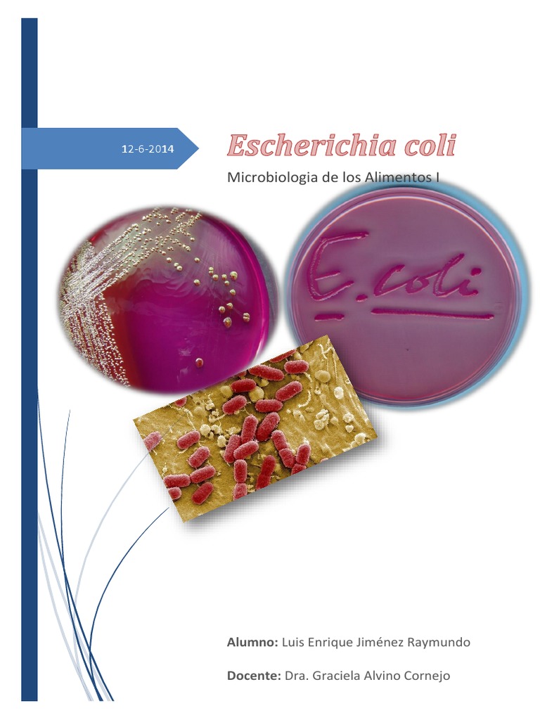 Escherichia coli en Alimentos | PDF | Escherichia coli | Diarrea