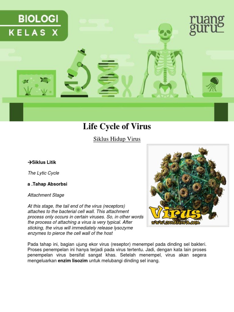 Life Cycle of Virus | PDF