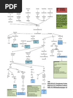 Woc Patofisiologi Diabetes Mellitus Adila | PDF