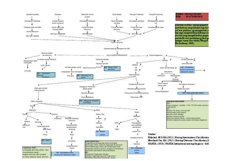 WOC Diabetes Mellitus | PDF