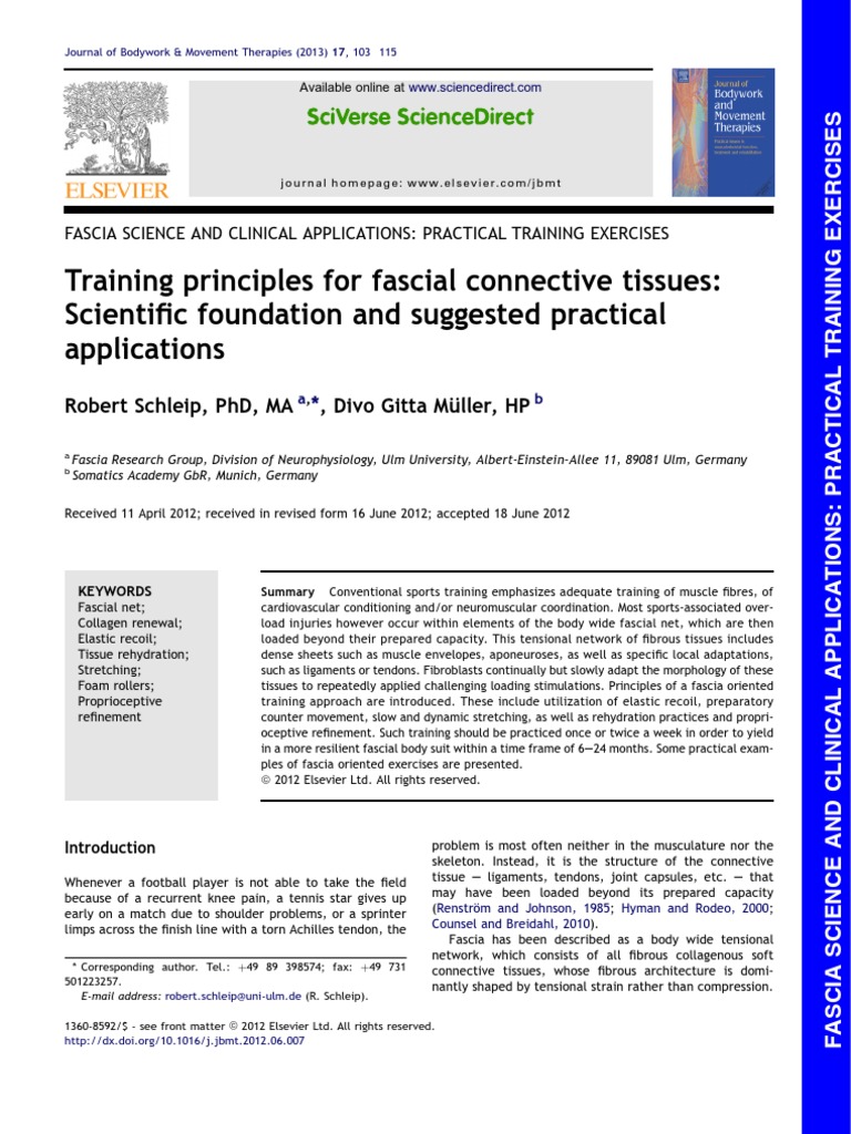 Training Principles For Fascial Connective Tissues | PDF | Tendon | Muscle