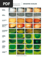 Efron Grading Scales for Eye Conditions | PDF | Science & Mathematics