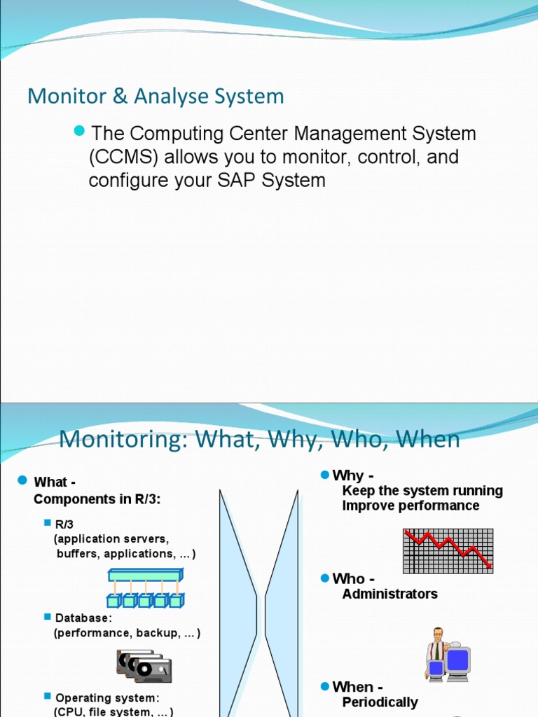 13 Monitor Analyse System | PDF | Server (Computing) | Process (Computing)