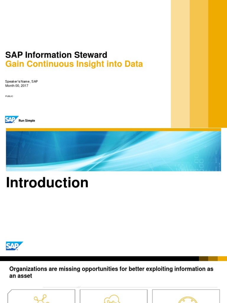 L1 Information Steward | PDF | Data Quality | Sap Se