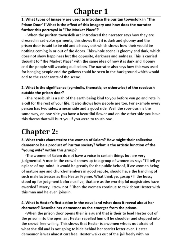 The Scarlet Letter | PDF | The Scarlet Letter | Psychological Concepts