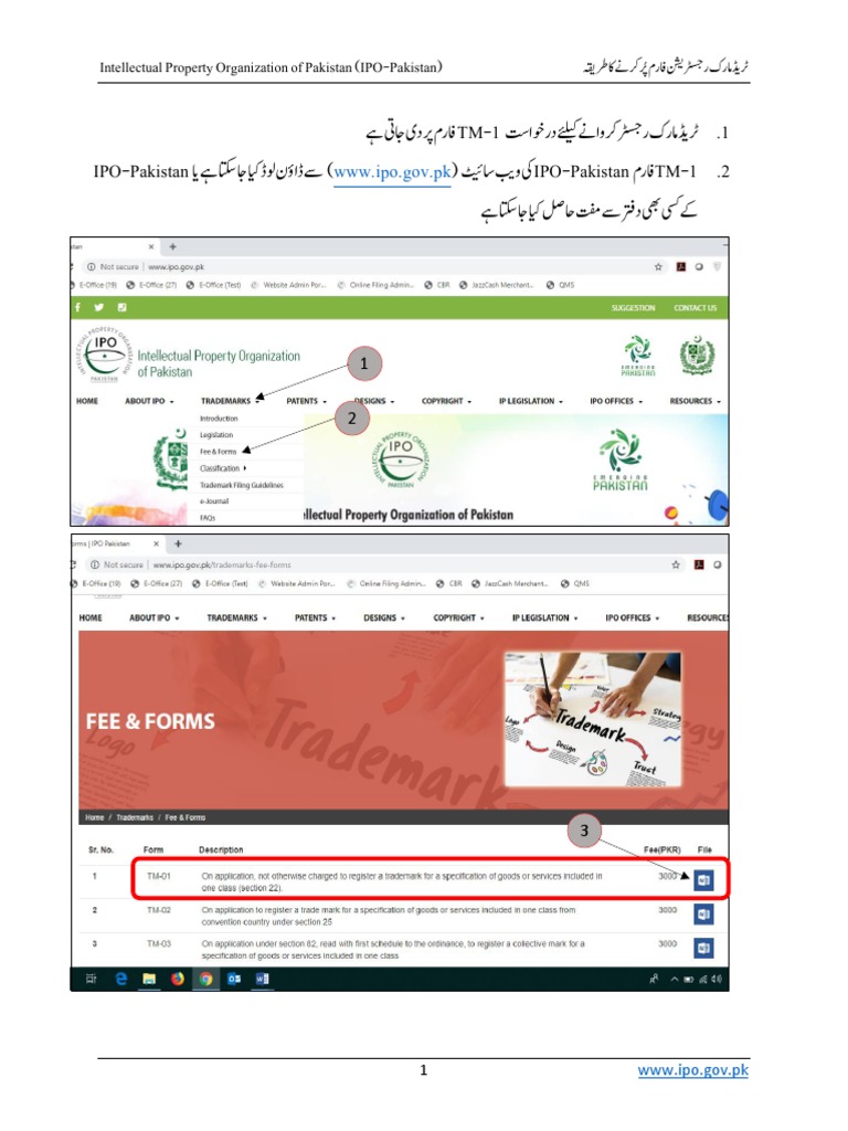 TM-1 Form Filling Guidelines (Version 1.1) PDF | PDF