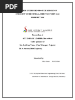 PNGRB Guidelines Overview | PDF | Natural Gas | Pipeline Transport