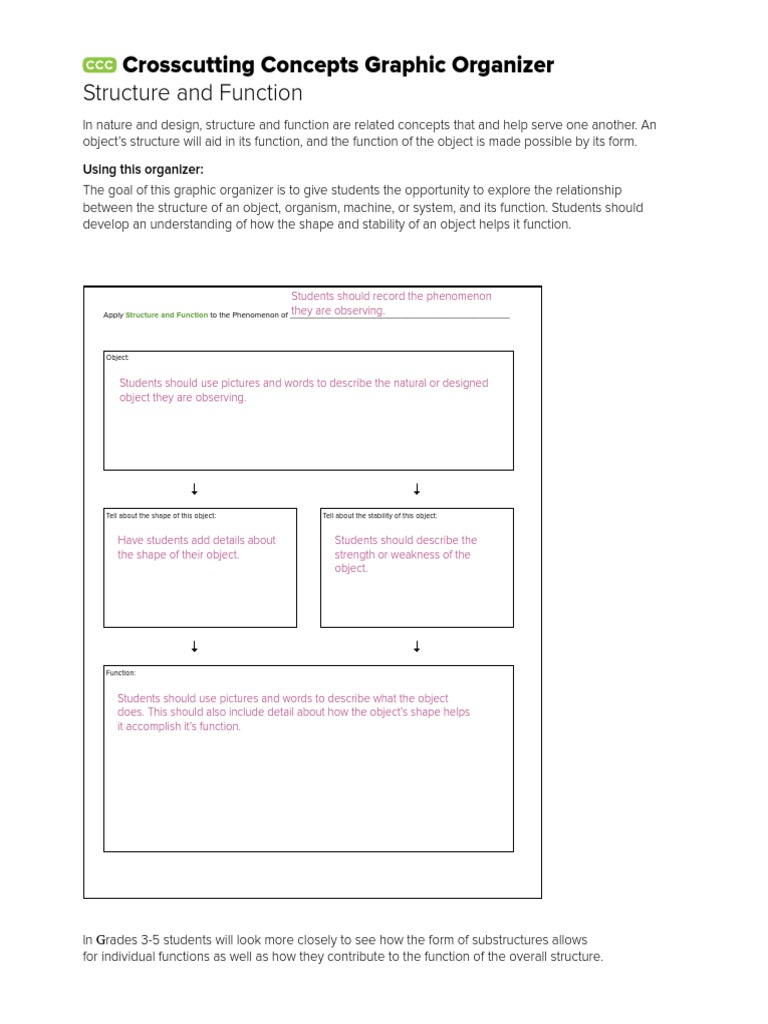 CCC Graphic Organizer Structure and Function PDF | PDF | Psychology ...