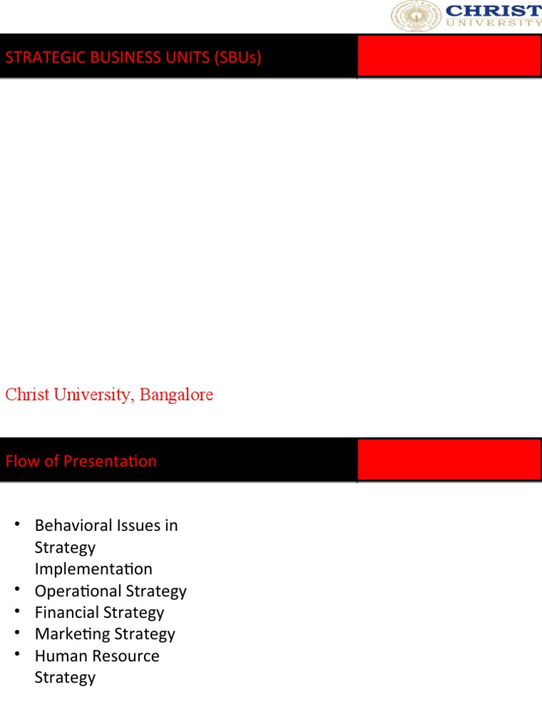 Strategic Business Units (Sbus) | PDF | Marketing | Marketing Strategy