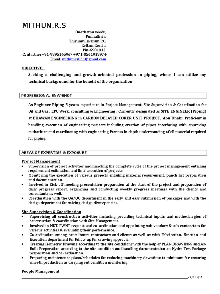 Pip Eng | PDF | Project Management | Engineering