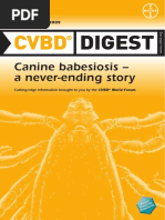 Triadan Tooth Numbering System | PDF