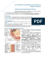 Anatomia da Região Inguinal | PDF | Anatomia