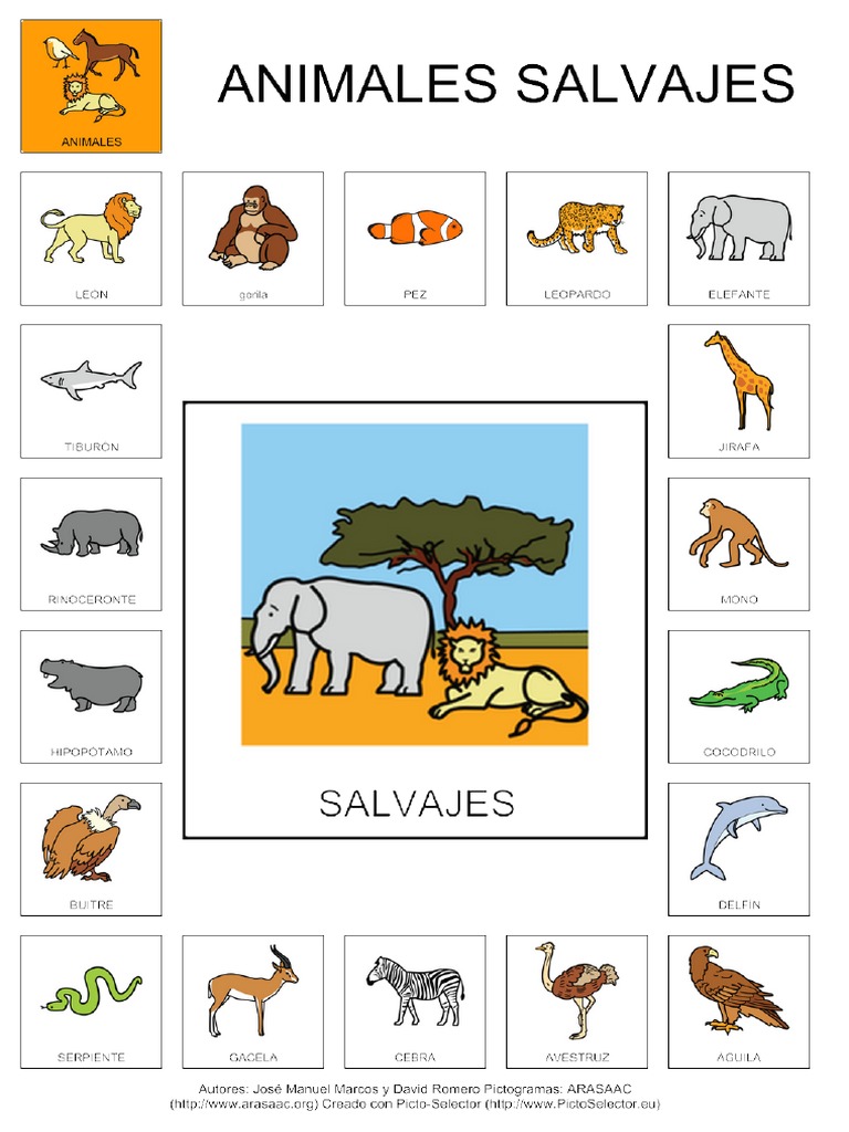 Animales Salvajes Vocabulario PDF | PDF